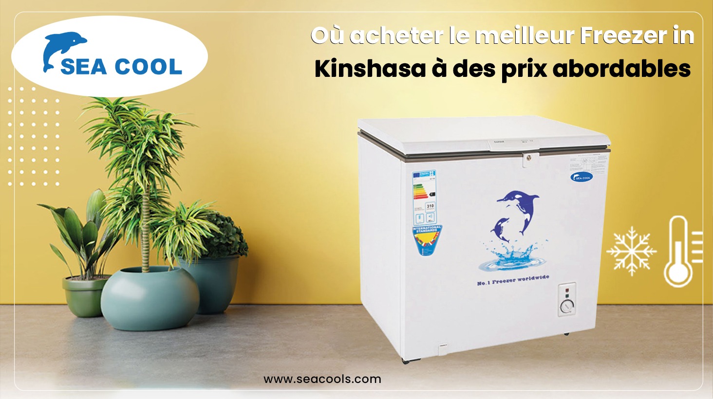 Congélateur ya Kinshasa – acheter un freezer pas cher en RDC